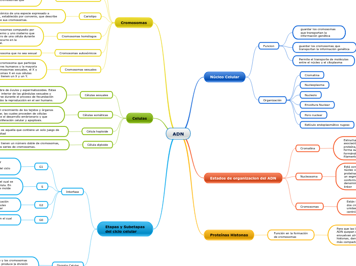 ADN - Mind Map